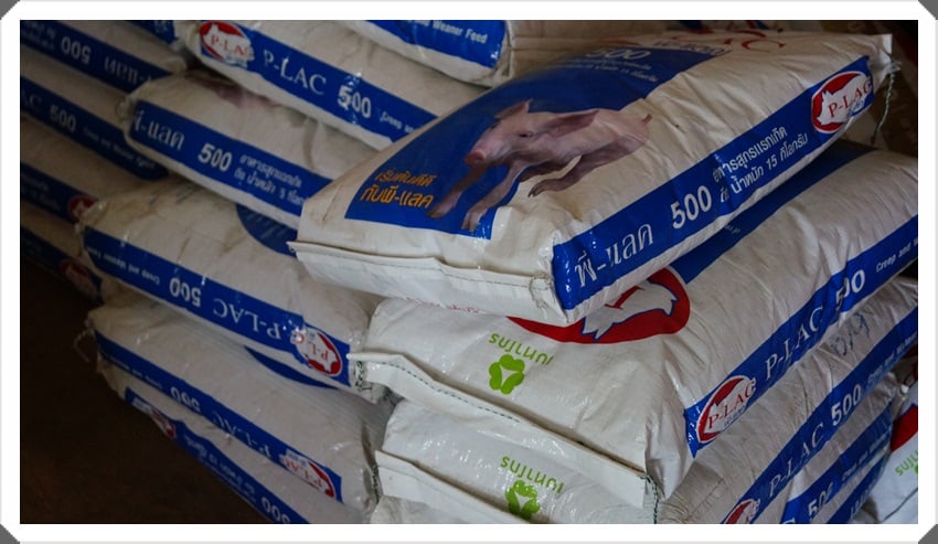 อาหารสุกรเลียราง P-LAC 500 พี-แลค | ธีรัตม์อาหารสัตว์: ที่สุดของร้าน ...